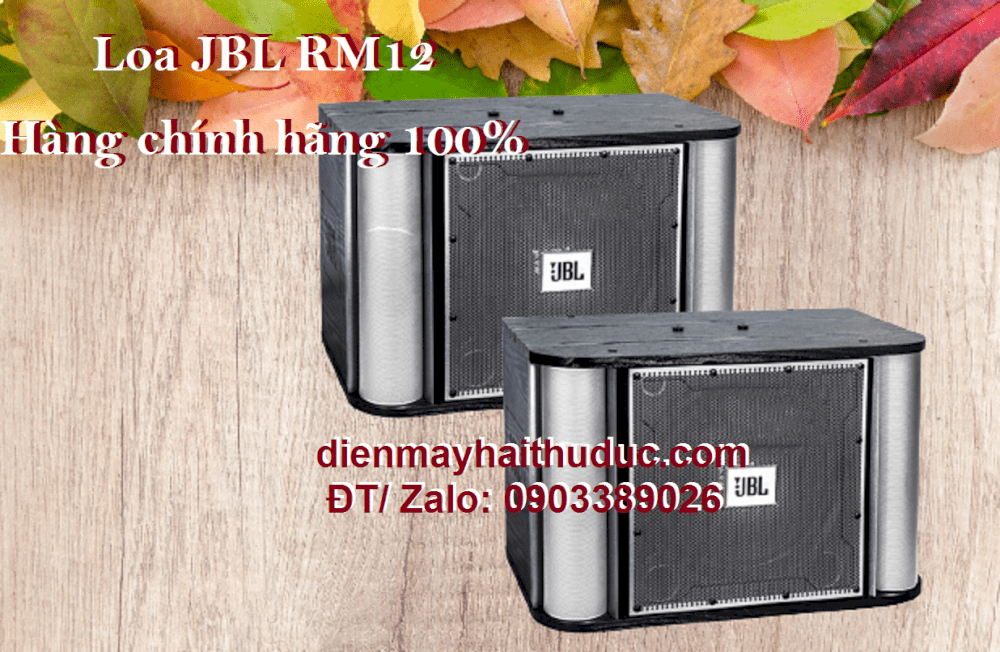 Loa Karaoke Jbl Rm12 Sản Phẩm Chính Hãng Đến Từ Usa