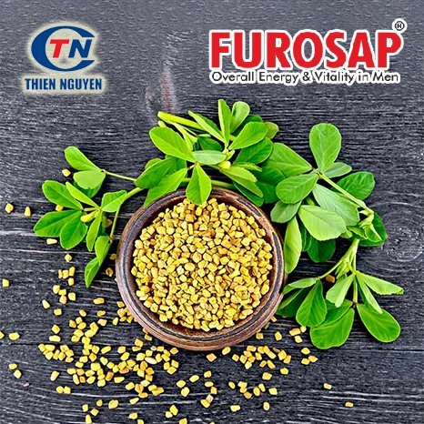 Furosap Chiết Xuất Cỏ Cà Ri Fenugreek Giúp Tăng Cường Sinh Lý Nam ...