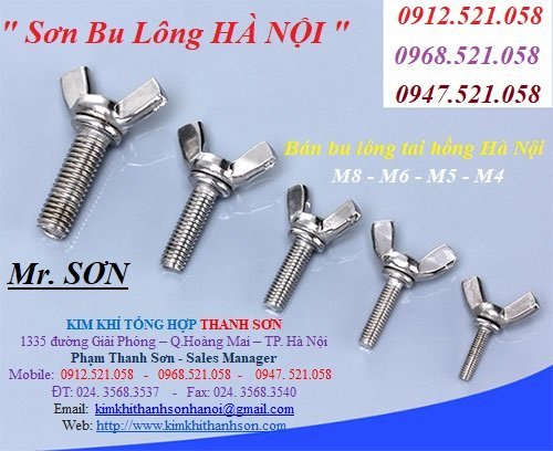 (Bu Lông Tai Hồng Mạ Kẽm M8X20 Rẻ Hà Nội) C.ty Bu Lông Ốc Vít Thanh Sơn ...