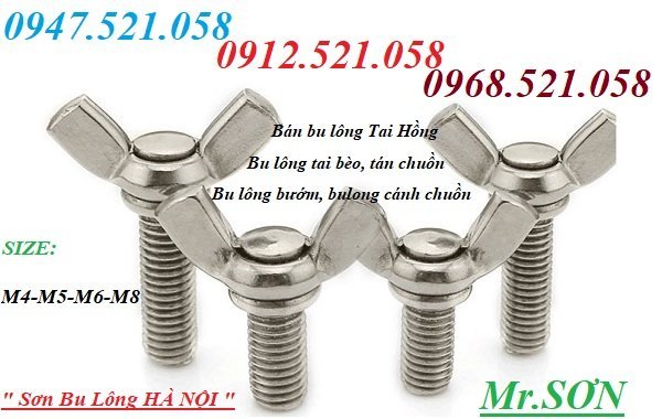 (Cung Cấp Bu Lông Tai Hồng M4,M5,M6,M8,M10 Hà Nội) Tổng Kho Ốc Vít Bu ...
