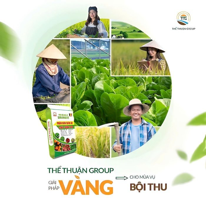 Phân Bón Gốc Cho Lan - Thethuangroup.com